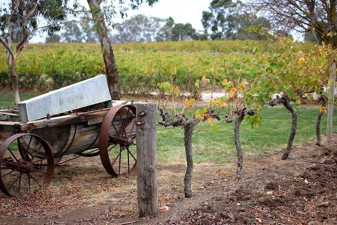 Maggie Beer Farm - Barossa Valley Regional Tour - Who Would Enjoy This Tour?
