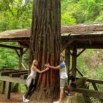Magical Muir Woods Car Tour (Private & All-Inclusive) - Who Should Consider This Tour?