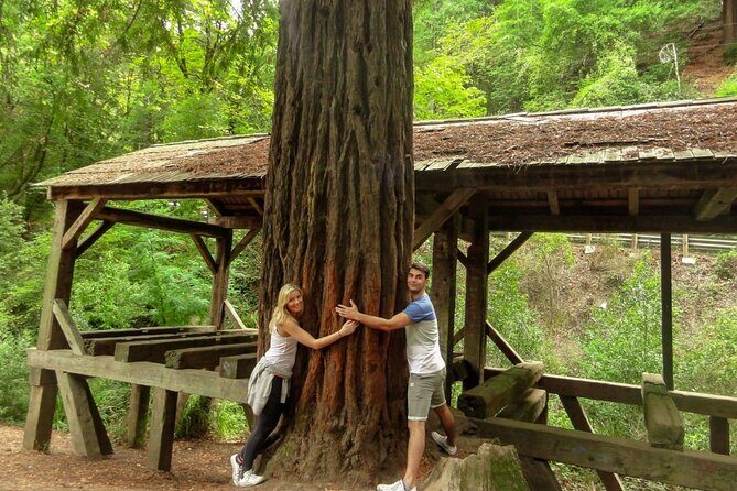 Magical Muir Woods Car Tour (Private & All-Inclusive) - Who Should Consider This Tour?