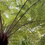 Magical Rotorua Private Tour with Spa Experience from Auckland - Authentic and Balanced Experiences