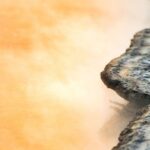 Magical Wanderer Experience Private Tour to Te Puia & Wai-O-Tapu - Who Will Love This Tour?