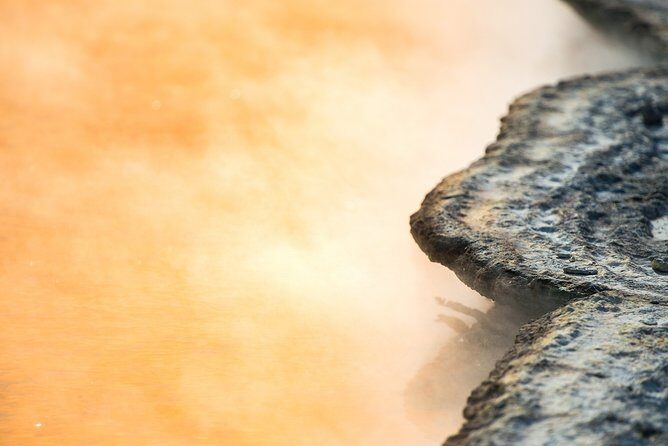 Magical Wanderer Experience Private Tour to Te Puia & Wai-O-Tapu - Who Will Love This Tour?