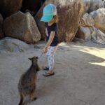 Magnetic Island Afternoon Tour - What Travelers Say: Authentic Experiences and High Praise