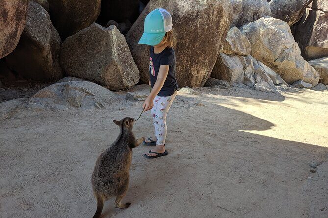 Magnetic Island Afternoon Tour - What Travelers Say: Authentic Experiences and High Praise