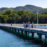 Magnetic Island Tour Behind the Scenes - What Makes This Tour Valuable?