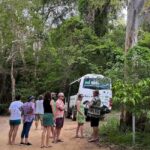 Magnetic Island: West Coast Eco Adventure Bus Tour - The Itinerary Breakdown