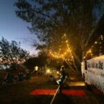 Magnetic Island: West Point Sunset Safari Bus Tour - The Practical Side