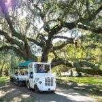 Magnolia Plantation Day Tour with Transportation - Who Will Enjoy This Tour?
