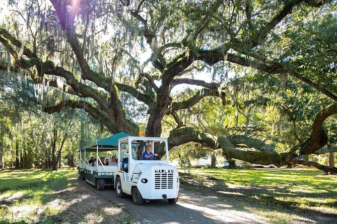 Magnolia Plantation Day Tour with Transportation - Who Will Enjoy This Tour?