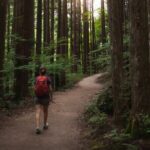 Magome & Tsumago Nakasendo Trail Day Hike with Government-Licensed Guide - Final Thoughts: Who Will Love This Tour?