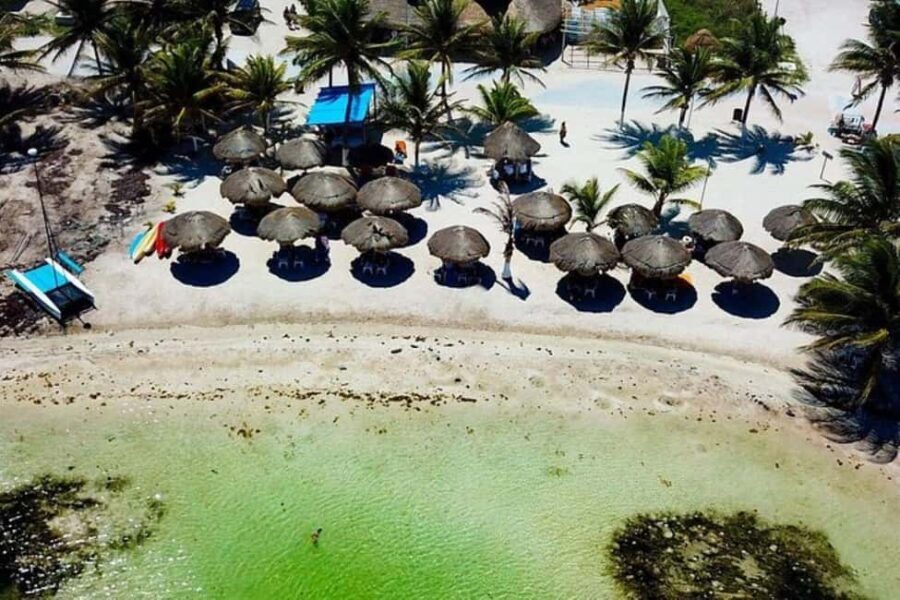 Mahahual: All-Inclusive Costa Maya Beach Break with Open Bar - A Deeper Look at the Experience