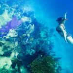 Mahahual: Snorkel Tour in Reef Lagoon - The Itinerary: What You Can Expect
