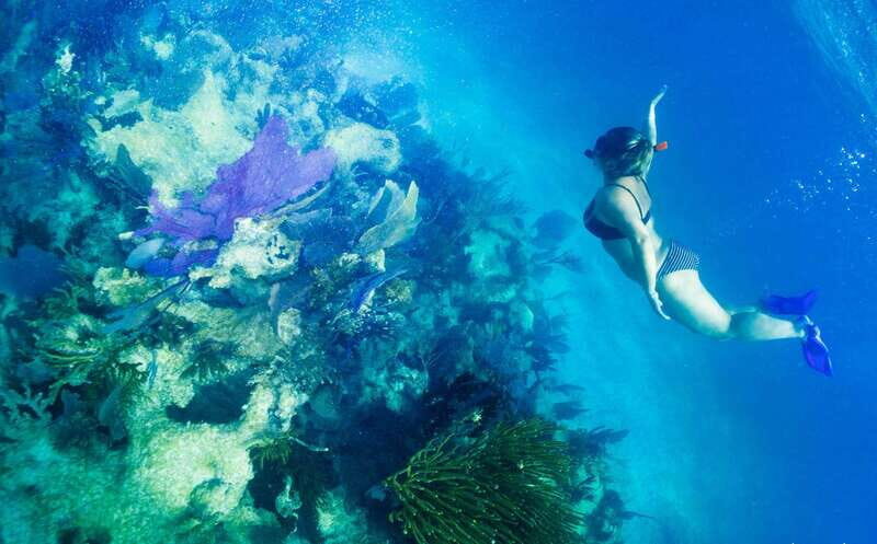 Mahahual: Snorkel Tour in Reef Lagoon - The Itinerary: What You Can Expect