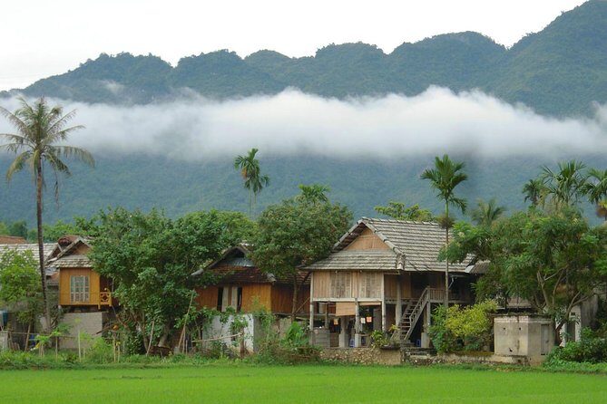 Mai Chau 1 Day Tour From Hanoi - How the Experience Comes Alive – From the Eyes of Travelers