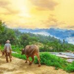 MAI CHAU 1 DAY TOUR | HIDDEN CHARM | SHARED or PRIVATE OPTIONS - Scenic Highlights and Cultural Encounters