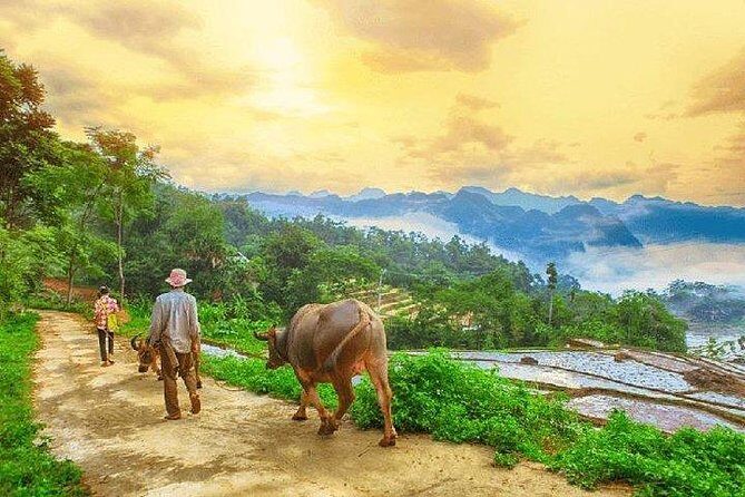 MAI CHAU 1 DAY TOUR | HIDDEN CHARM | SHARED or PRIVATE OPTIONS - Scenic Highlights and Cultural Encounters