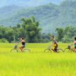 Mai Chau: 2-Day Trip with Trekking, Cycling, Food & Homestay - Exploring Thai Villages: Lac and Pom Coong