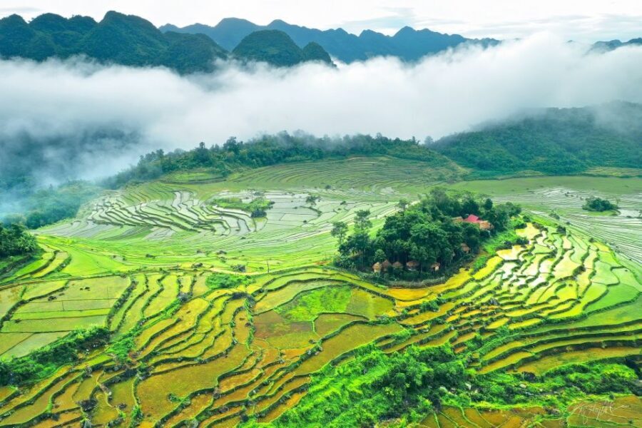 Mai Chau Pu Luong 3 days 2 nights tour - sale off 15% - Transport, Accommodation, and Overall Value