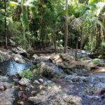 Maiala Rainforest Tour - The Itinerary in Detail