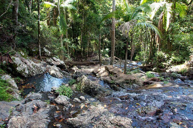 Maiala Rainforest Tour - The Itinerary in Detail