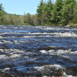 Maine: Penobscot Downriver Boat Rides - Who Will Love This Experience?