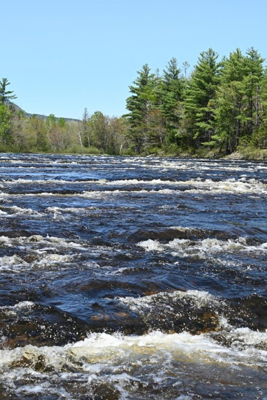 Maine: Penobscot Downriver Boat Rides - Who Will Love This Experience?