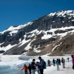 Majestic Icefield Private Day Tour from Calgary - What Travelers Say