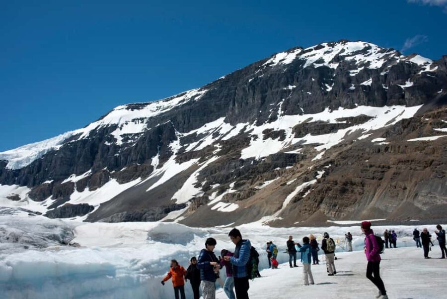Majestic Icefield Private Day Tour from Calgary - What Travelers Say