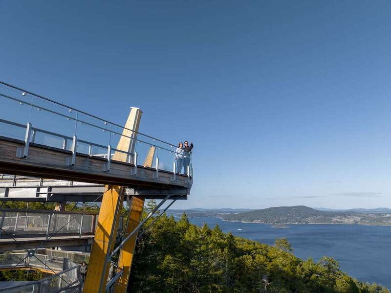 Malahat SkyWalk Ticket - The Value of the Ticket