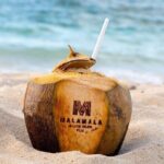 Malamala Beach Club - Half Day Pass - Who’s This Tour Best For?