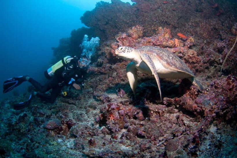 Maldives: Discover Scuba Diving - What Is the Discover Scuba Diving Experience?
