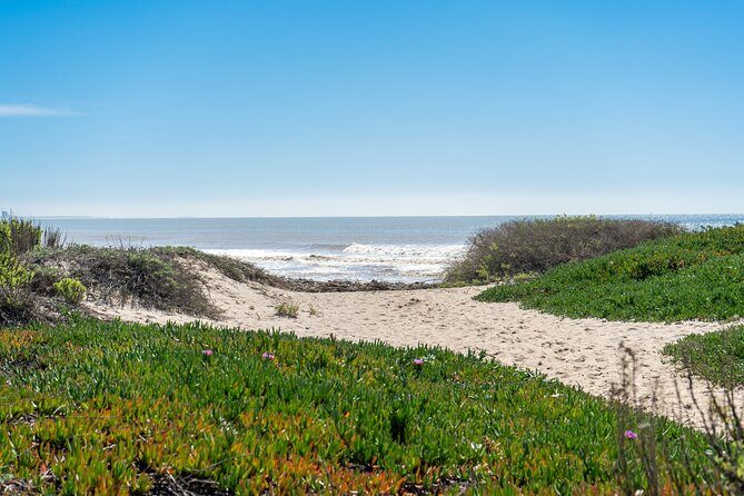 Malibu Magic: Private Coastal Day Trip from Los Angeles - An In-Depth Look at the Malibu Magic Experience