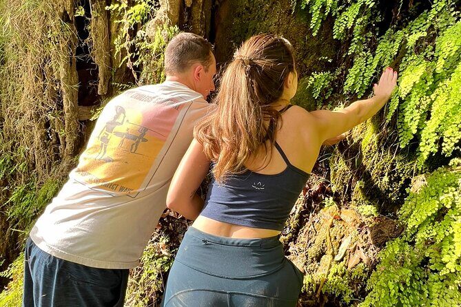 Malibu Waterfall eMTB & Hiking Adventure (Beginner) - The Pros and Cons Based on Real Experiences