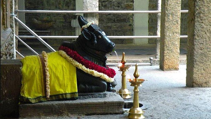 Malleswaram heritage walk, an immersive walking tour in Bangalore - Experience in Practice: What Travelers Say