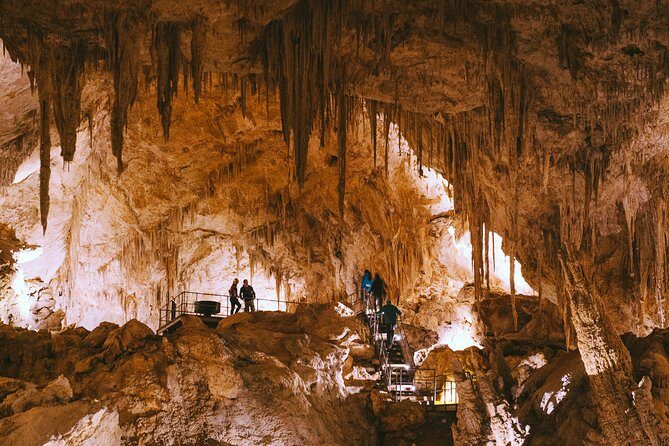 Mammoth Cave Self-guided Audio Tour (Located in Western Australia) - What Visitors Say