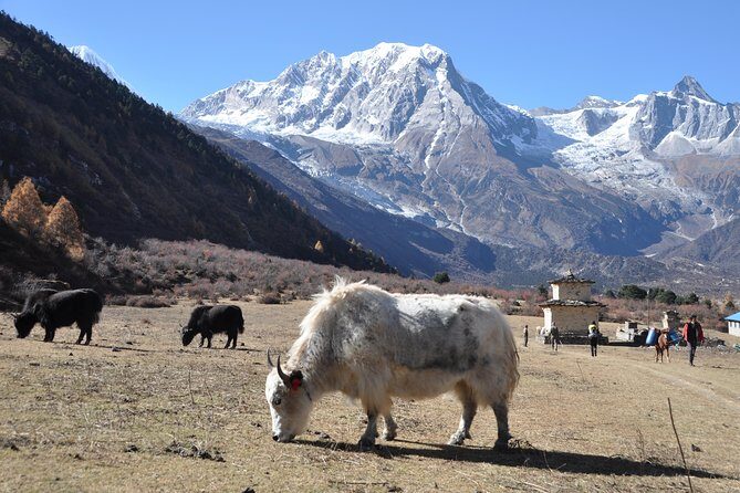 Manaslu Tsum Valley Trekking - Days 7-8: Entering Tsum Valley – Lokpa to Chumling
