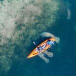 Manatee Kayak Encounter - The Itinerary: What to Expect