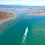Mandurah: Dolphin & Giant Sightseeing Cruise - The Value of the Experience