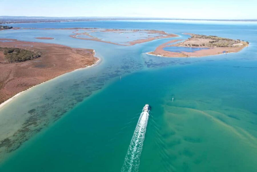 Mandurah: Dolphin & Giant Sightseeing Cruise - The Value of the Experience