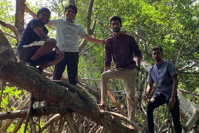 Mangrove Adventure - Considerations for Travelers
