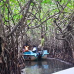 Mangrove Forest Boat Tour in Kalpitiya - What Travelers Say (Based on Reviews)