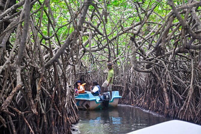 Mangrove Forest Boat Tour in Kalpitiya - What Travelers Say (Based on Reviews)