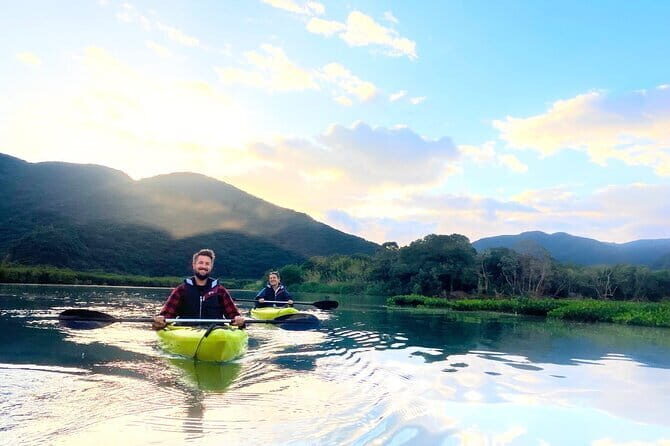 Mangrove Kayaking in Amami Oshima Island Tour - What You Can Expect from the Itinerary