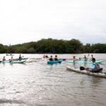 Mangrove Kayaking Tour - The Sum Up