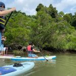 Mangrove SUP in Okinawa - In-Depth: How the Tour Fits into Your Okinawa Trip