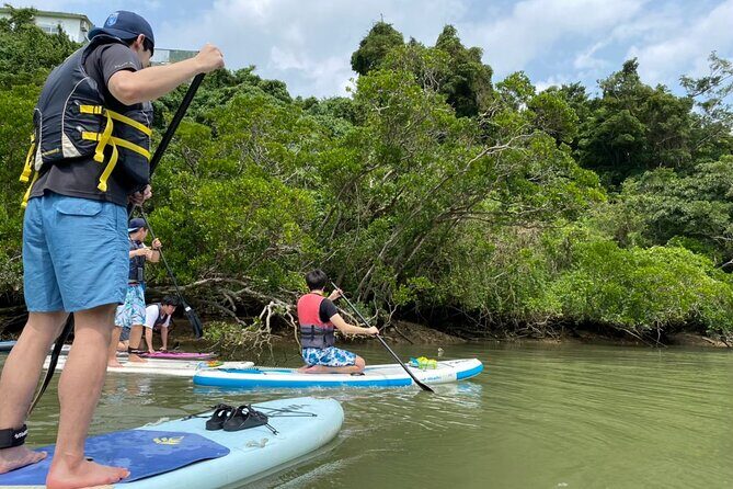 Mangrove SUP in Okinawa - In-Depth: How the Tour Fits into Your Okinawa Trip