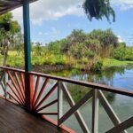 Mangrove to Lagoon Kayak and Paddleboard Adventure - What Travelers Can Expect and Why It Matters