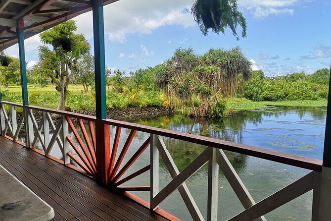 Mangrove to Lagoon Kayak and Paddleboard Adventure - What Travelers Can Expect and Why It Matters