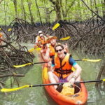 Mangrove Tour by Kayaking in Ko Lanta With Lunch - Practical Details & What to Expect
