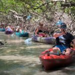 Mangrove Tunnel Kayak Tour To Shell Key - St. Pete, FL - Authentic Wildlife Encounters and Guides